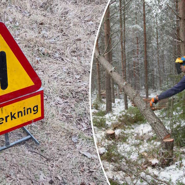 Markera ut ledningar och annat i marken genom utsättning